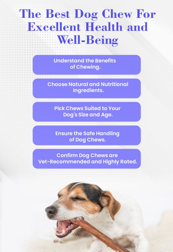 The Best Dog Chew For Excellent Health and Well-Being - Sansar Pet Supply