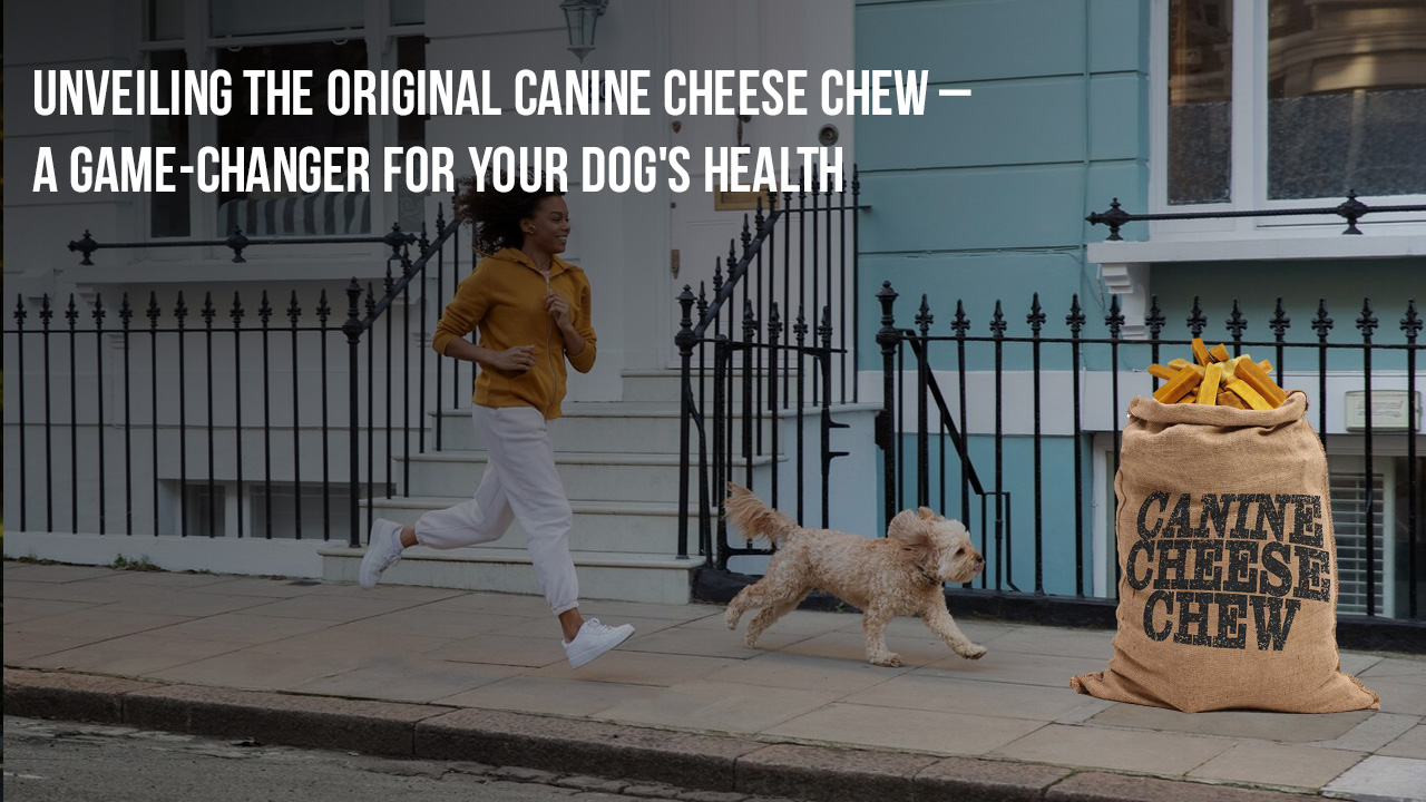 Unveiling the Original Canine Cheese Chew – A Game-Changer for Your Dog ...